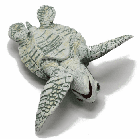 Safari Ltd. Kemp's Ridley Sea Turtle Baby #267429