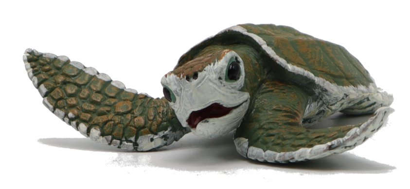 Safari Ltd. Kemp's Ridley Sea Turtle Baby #267429