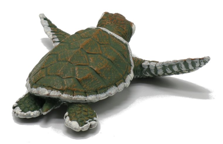 Safari Ltd. Kemp's Ridley Sea Turtle Baby #267429
