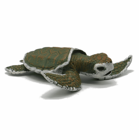 Safari Ltd. Kemp's Ridley Sea Turtle Baby #267429