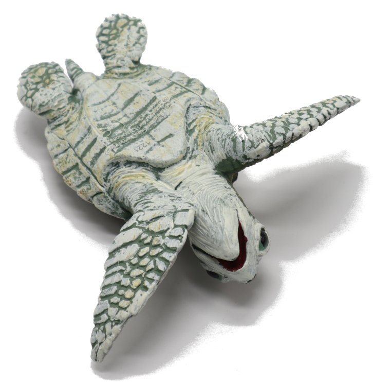 Safari Ltd. Kemp's Ridley Sea Turtle Baby #267429