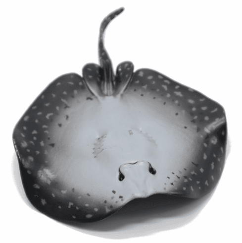 Safari Ltd. - Marble Ray #100317 - Black with White Spots