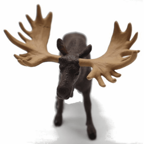 Safari Ltd. - Moose #290029 - Enormous Antler Rack