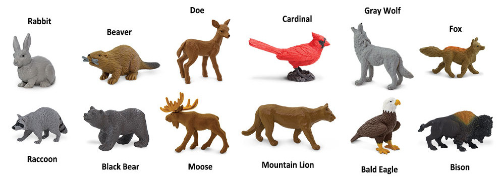 Safari Ltd. - Nature Toob by Safari Ltd. 685804 - TOOB Collection