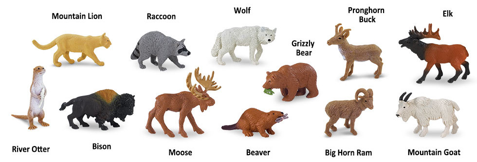 Safari Ltd. North American Wildlife Toob #697004 - 12 Pieces