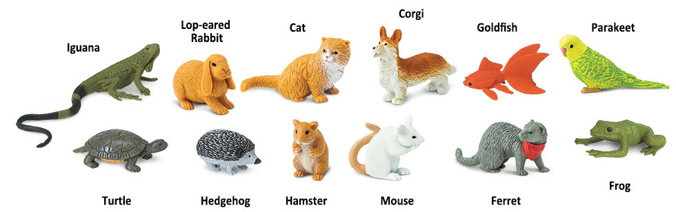 Safari Ltd. - Pets Toob by Safari Ltd. 681504 - TOOB Collection