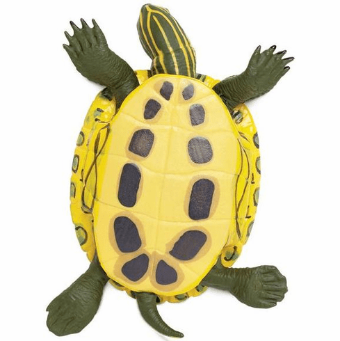 Safari Ltd. Red-Eared Slider Turtle #269529 Oversize Figure