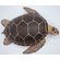 Safari Ltd. - Sea Turtle #260429 - Incredible Creatures