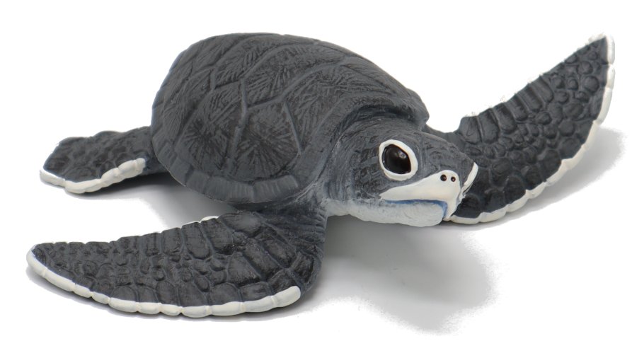 Safari Ltd. Sea Turtle Baby #268129 - Incredible Creatures