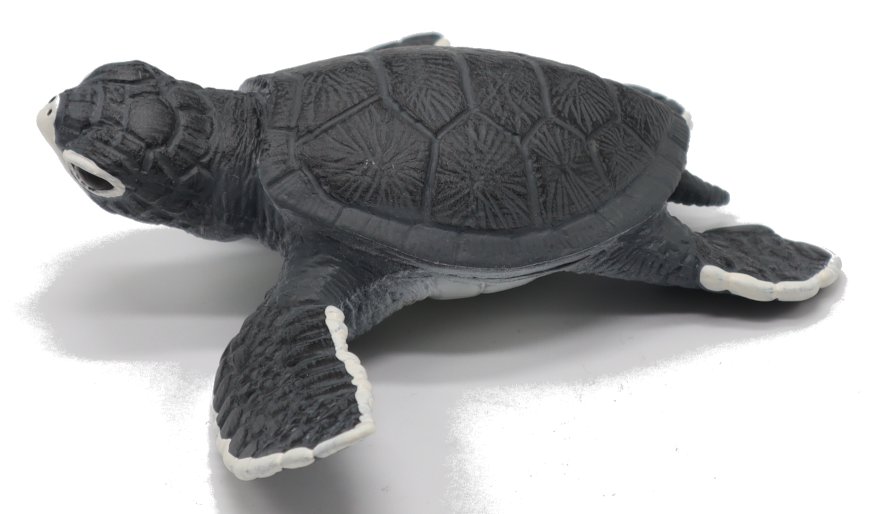 Safari Ltd. Sea Turtle Baby #268129 - Incredible Creatures