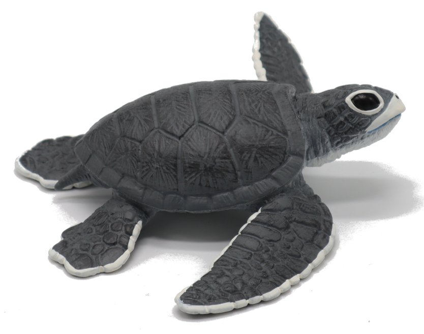 Safari Ltd. Sea Turtle Baby #268129 - Incredible Creatures