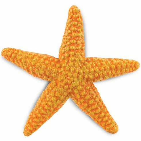 Safari Ltd. - Starfish by Safari Ltd. 276829 - Sea Life Collection