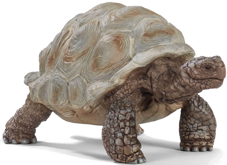 Schleich Giant Tortoise #14824 - Regal Old Turtle Figurine