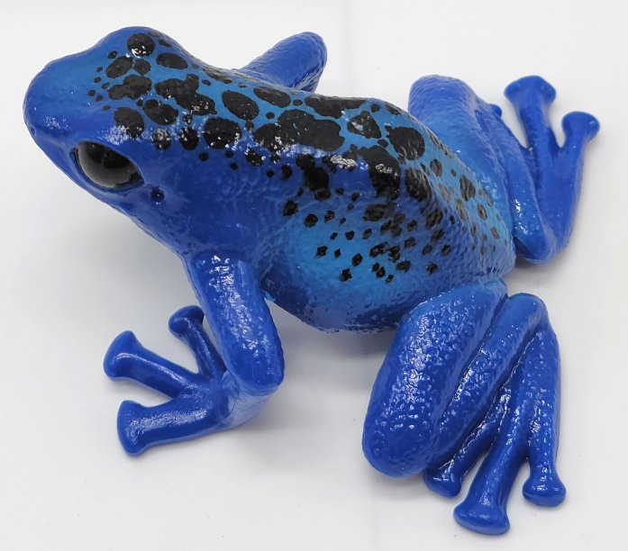 Schleich Blue Poison Dart Frog 14864 - Non Toxic Toy Version