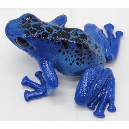Blue Poison Dart Frog