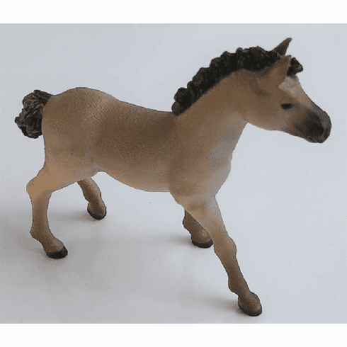 Schleich Criollo Definitivo Foal #13949 - #2 best foal 2022