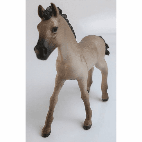 Schleich Criollo Definitivo Foal #13949 - #2 best foal 2022