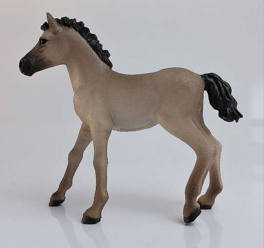 Schleich Criollo Definitivo Foal #13949 - #2 best foal 2022