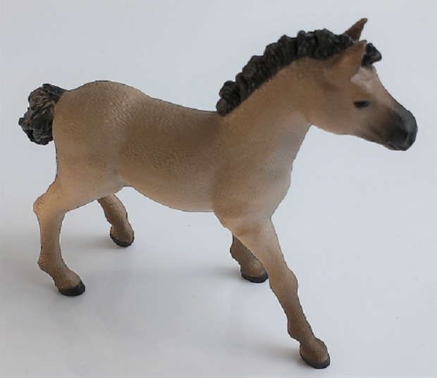 Schleich Criollo Definitivo Foal #13949 - #2 best foal 2022