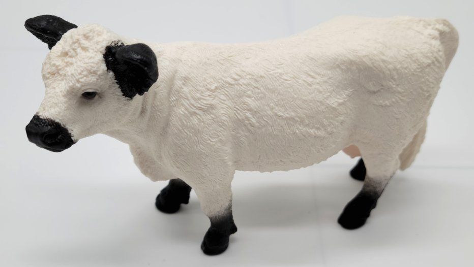 Schleich Galloway Cattle #13960 - New in 2023