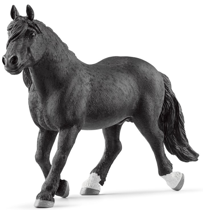 Schleich - Noriker stallion #13958 - New Release in 2023