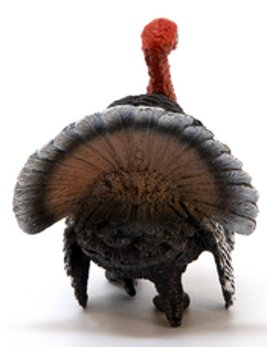 Schleich Turkey #13900 - Gobbling, Thanksgiving Meal
