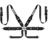 Sparco 3" 6 Point HANS FIA Racing Harness 04837RHAZ