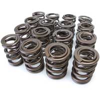 Racing Performance Valve Springs Honda Acura Nissan Toyota
