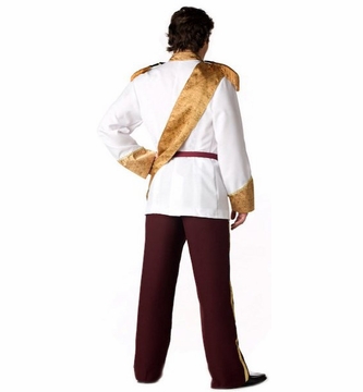 Simple Prince Charming Costume