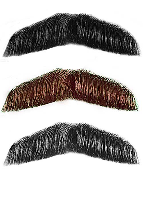 Realistic Mustache Png