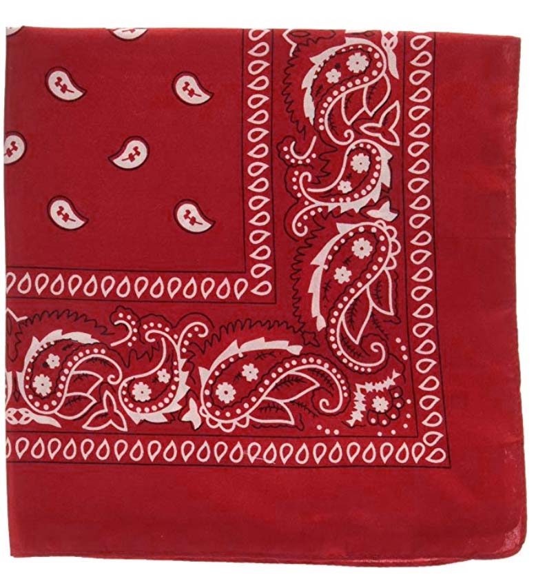 Red Cowboy Bandana - Candy Apple Costumes - Wild West Costumes