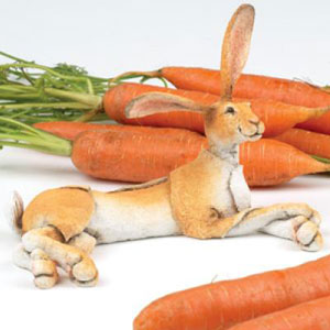 A Breed Apart Harriet the Rabbit