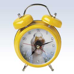 Wacky Wakers - Farm Duck Alarm Clock