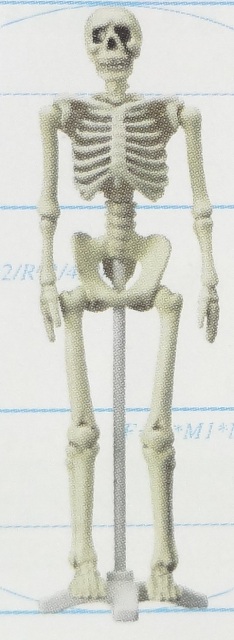 japanese, dollhouse, miniatures, all, bandai, gashapon, toy, toys ...