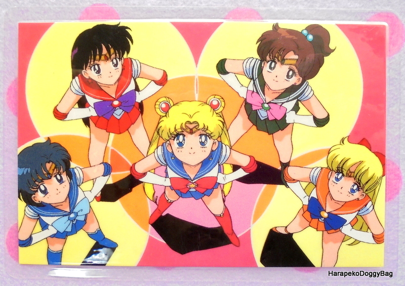 Sailor Moon Team