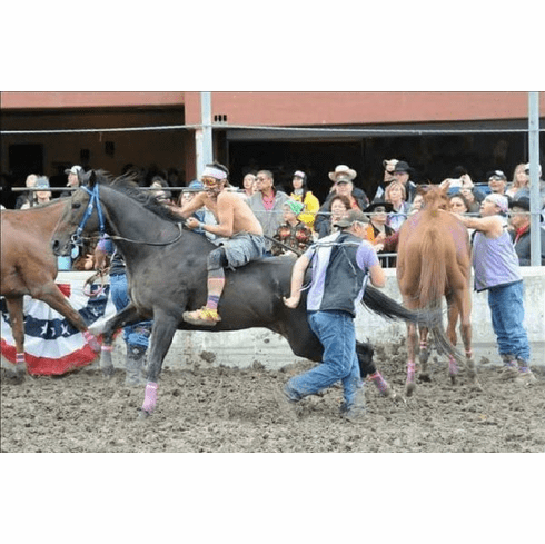 Indian Relay Races & Chariot Races