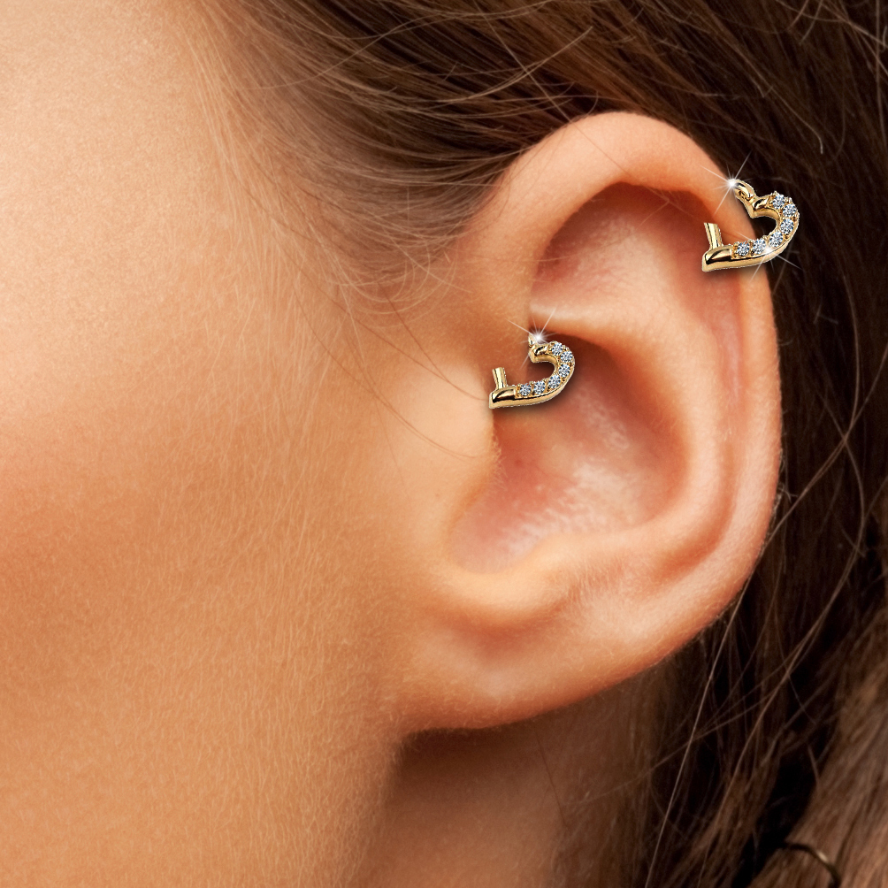 Ear Piercing Rook Heart