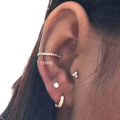 G23 Titanium Seamless Pave Hinged Clicker Ring - Helix, Rook, Earlobe ...