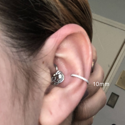 G23 Titanium Seamless Pave Hinged Clicker Ring - Helix, Rook, Earlobe ...