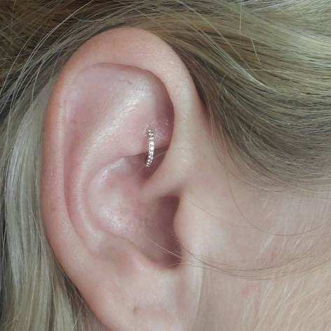 G23 Titanium Seamless Pave Hinged Clicker Ring - Helix, Rook, Earlobe ...