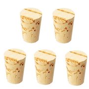 Pack of 5 316L Body Piercing Needles