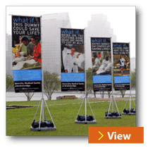 Custom Display Flags