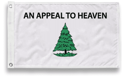 Washington Cruisers Flag