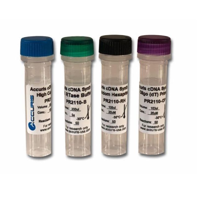 Accuris qMAX First Strand cDNA Synthesis Flex Kit, PR2110-200