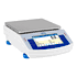 Radwag WLC 1/10.X2 Dual Range Precision Balance, WL-222-1001