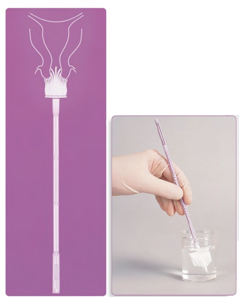 Wallach Papette Disposable Cervical Cell Collector