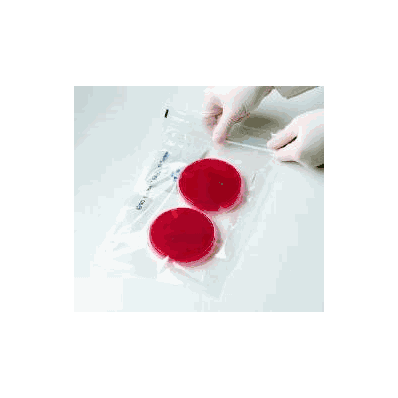 Anaerobe Pouch System, for BD GasPak EZ Small Incubation Container ...