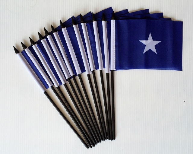 Bonnie Blue Miniature Flag - Miniature Historical Flags