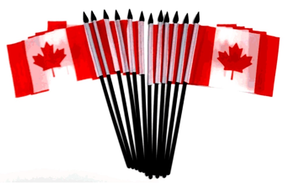 Canada cheap small mini 4"x6" little stick flags, Canadians 4x6 waving ...