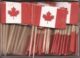World Flag Toothpicks, Boxes of World toothpick flags, country flag ...